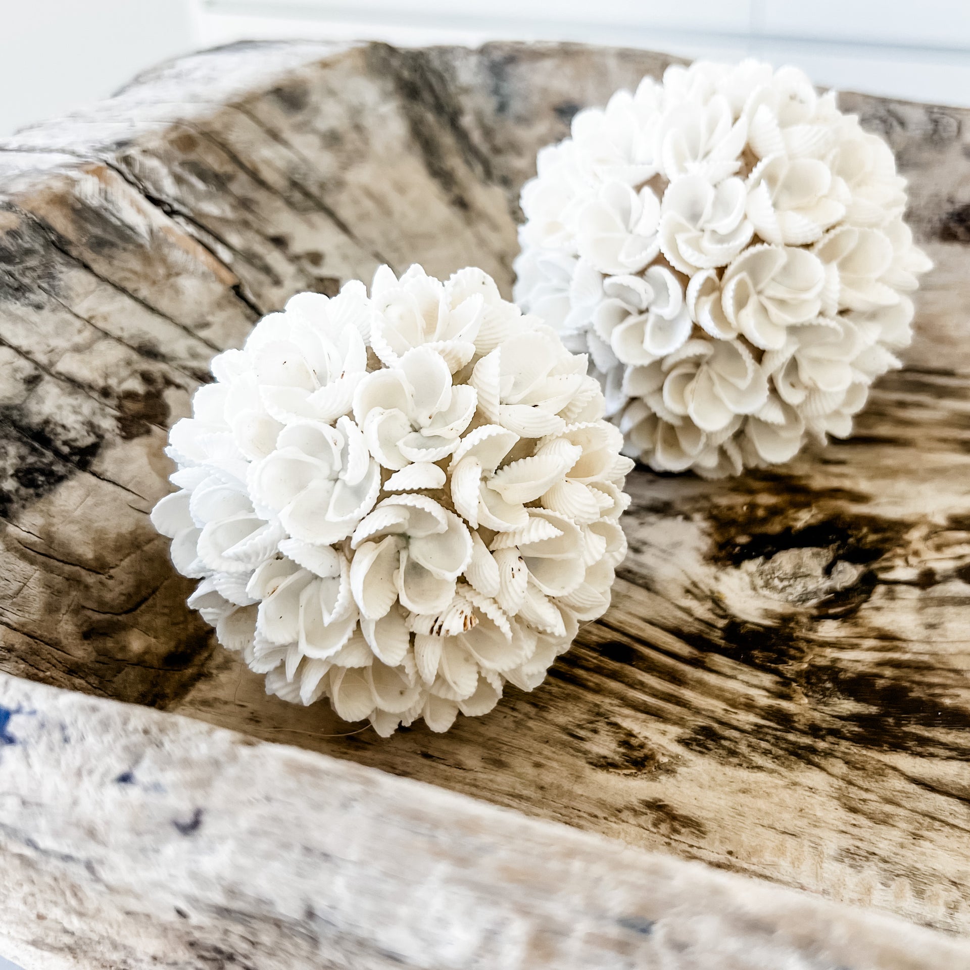 Shell Ball | Flowers | 3 sizes