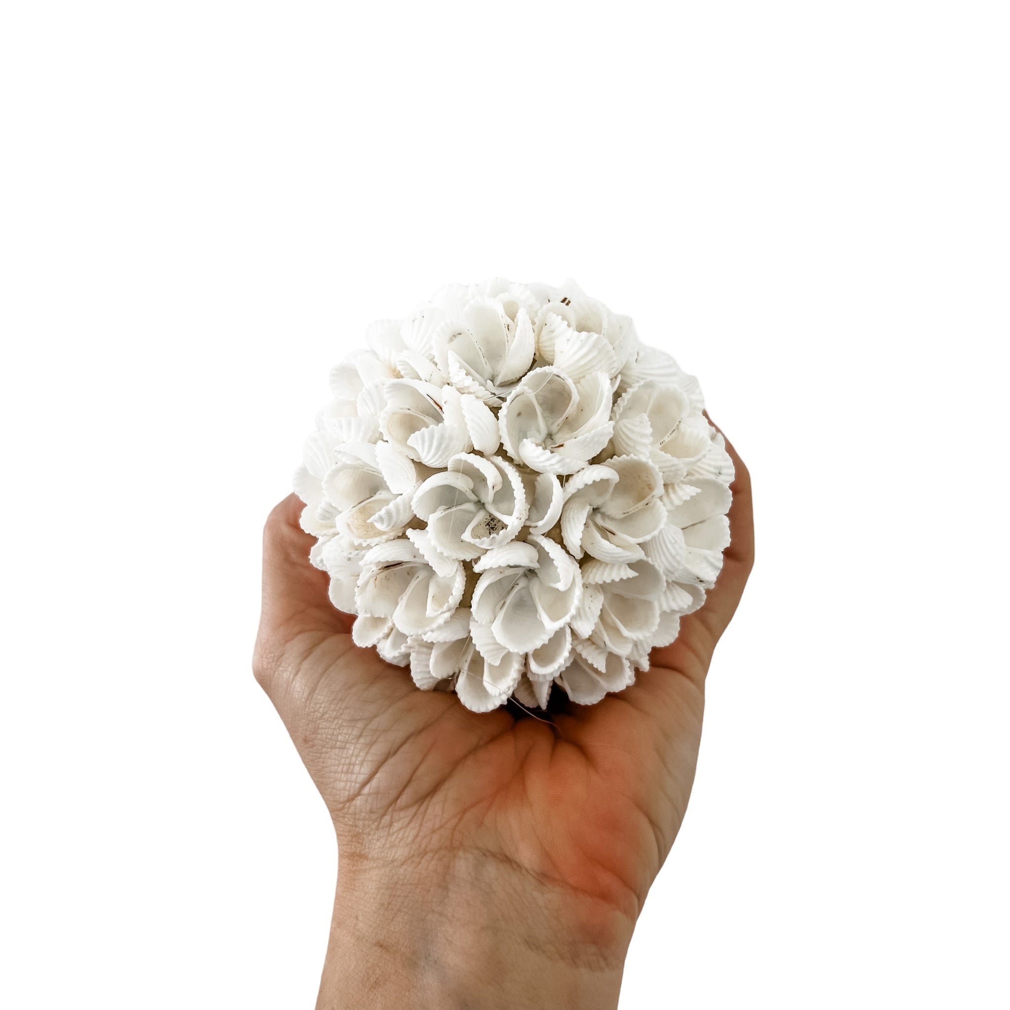 Shell Ball | Flowers | 3 sizes