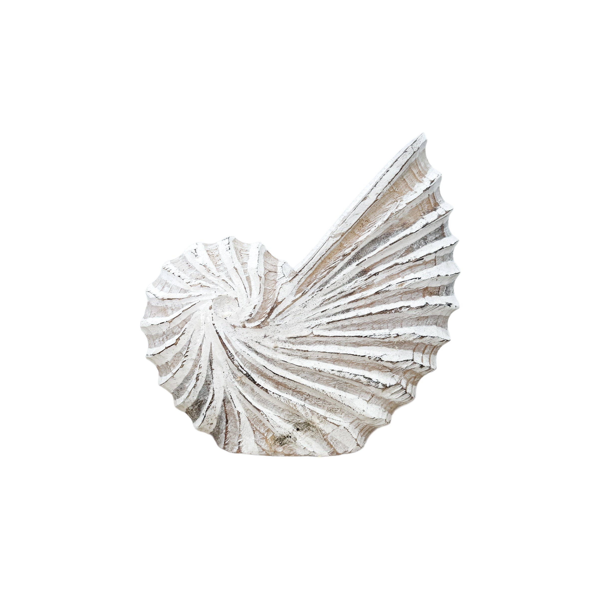 Wooden Nautilus Shell | Structured | 3 Sizes Available