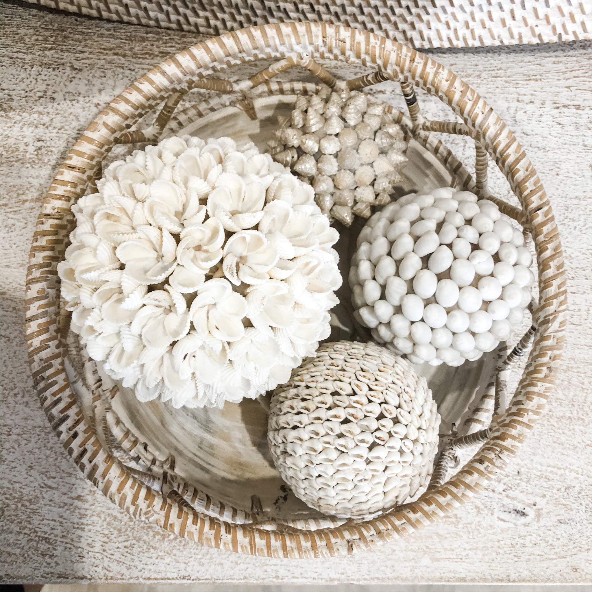 Cora Bowls | Standard | 3 Sizes