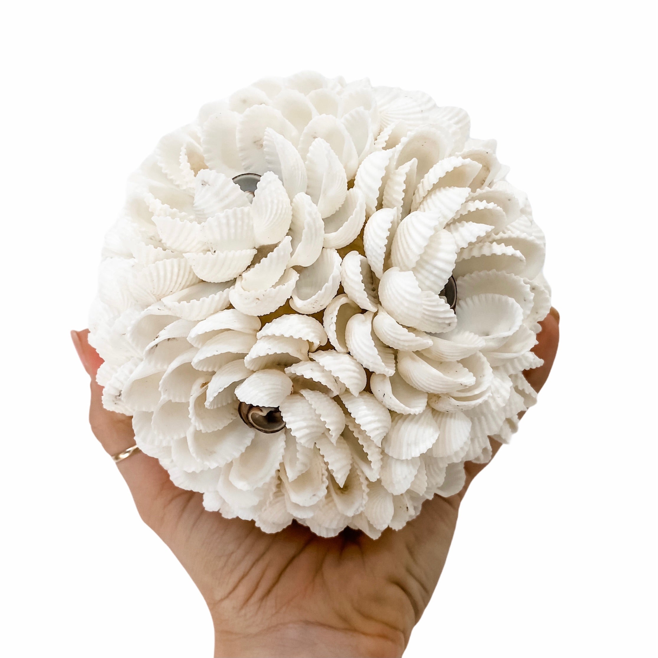 Shell Ball | Fleur