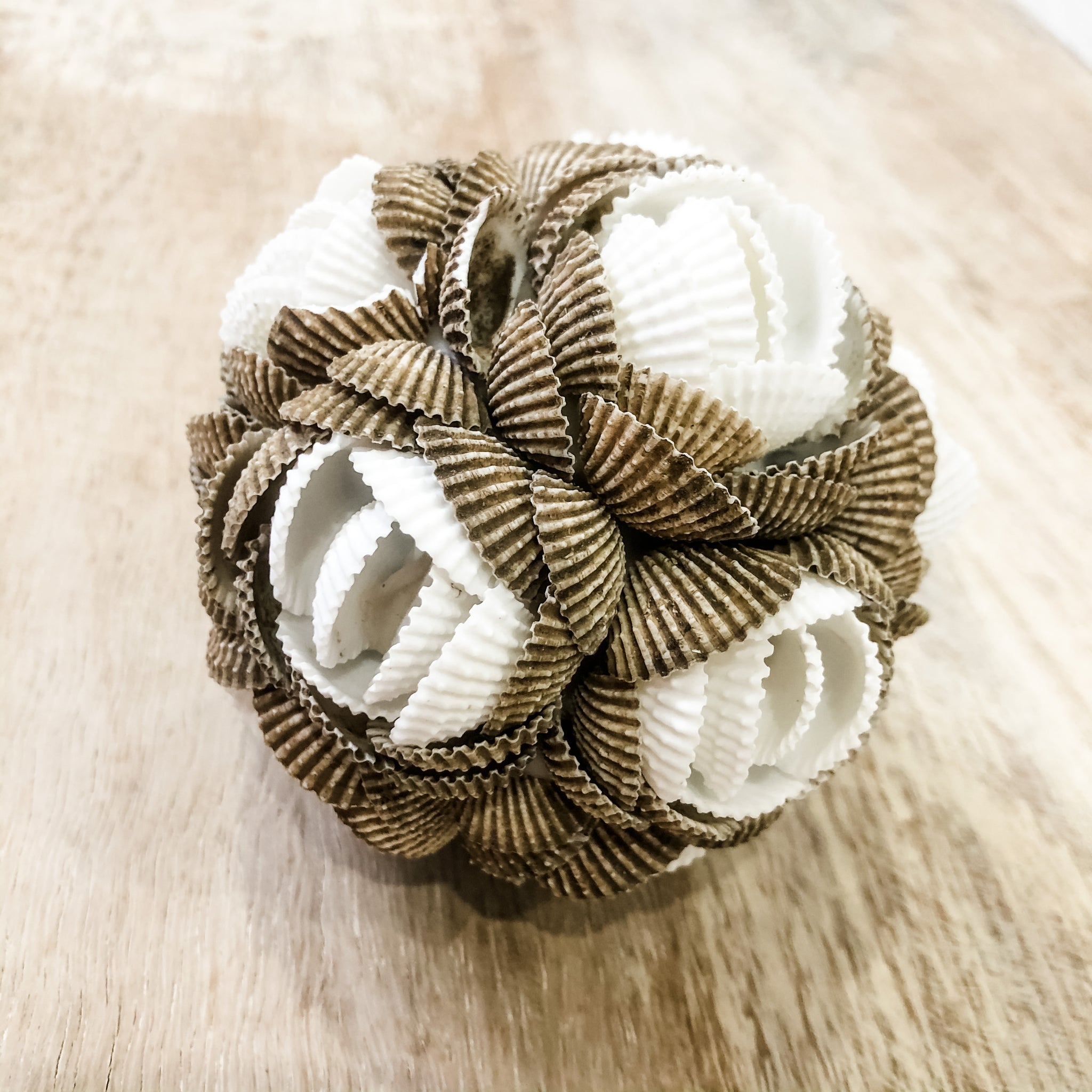Shell Ball | White & Brown