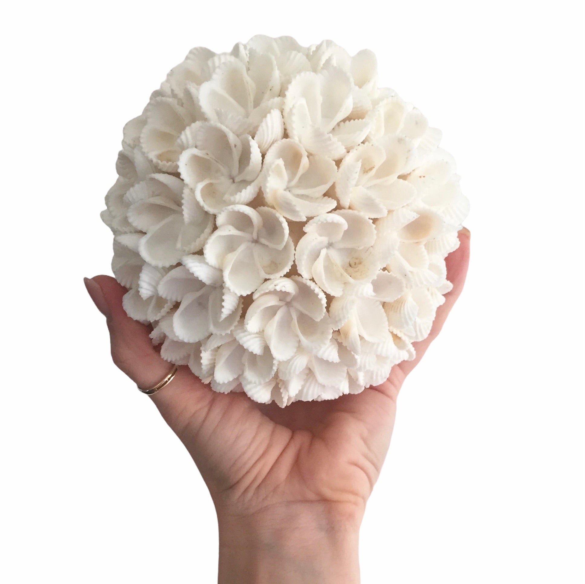 Shell Ball | Flowers | 3 sizes