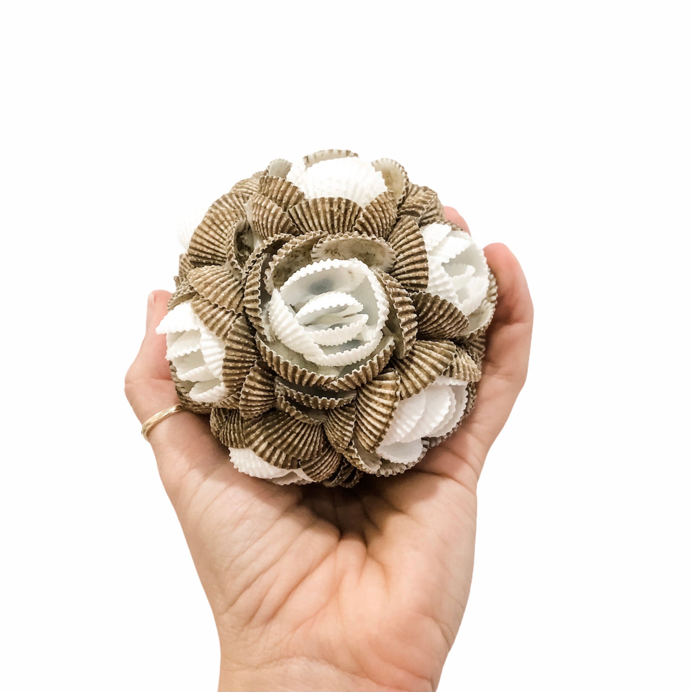 Shell Ball | White & Brown